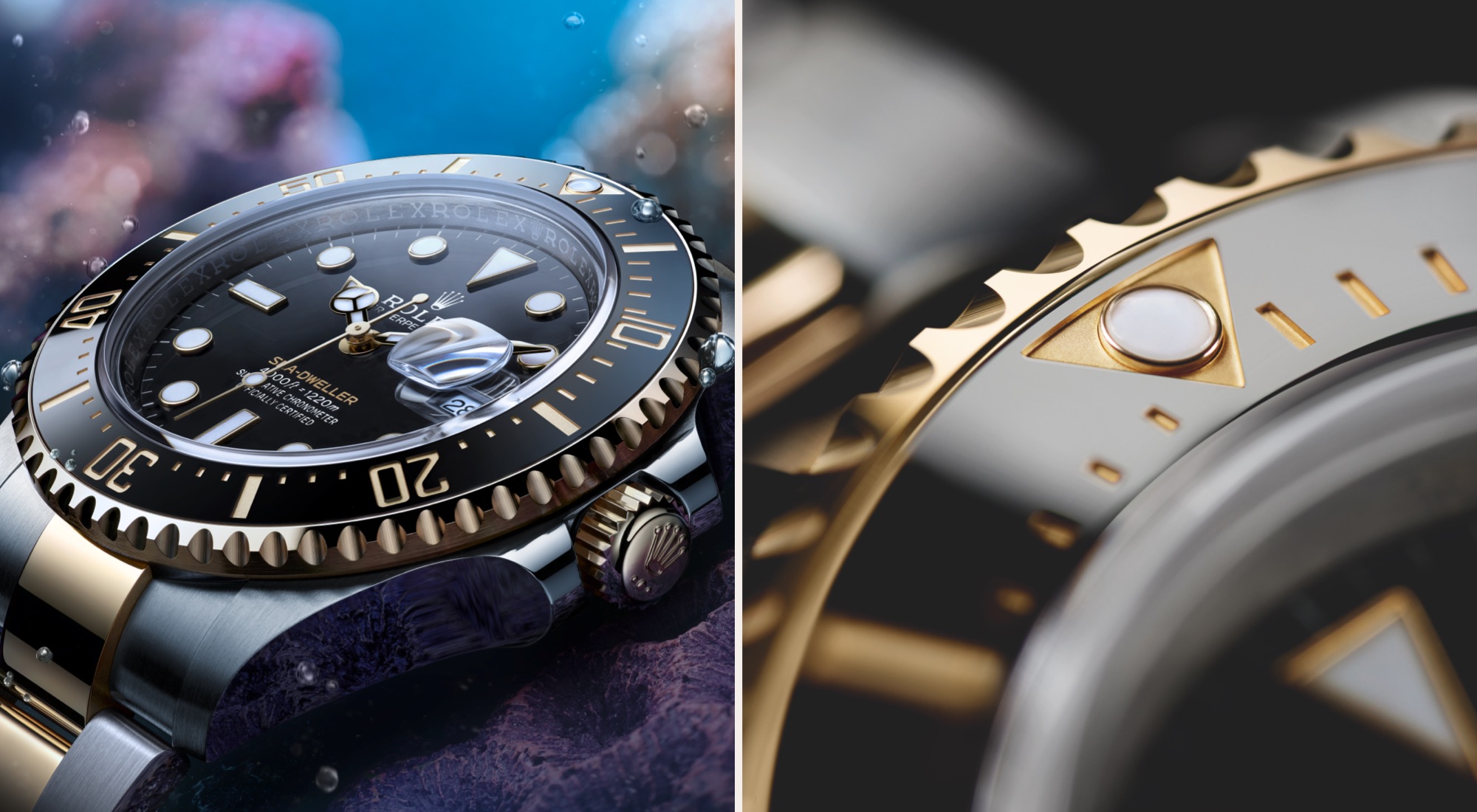 Rolex Sea Dweller Watches | Kelley Jewelers